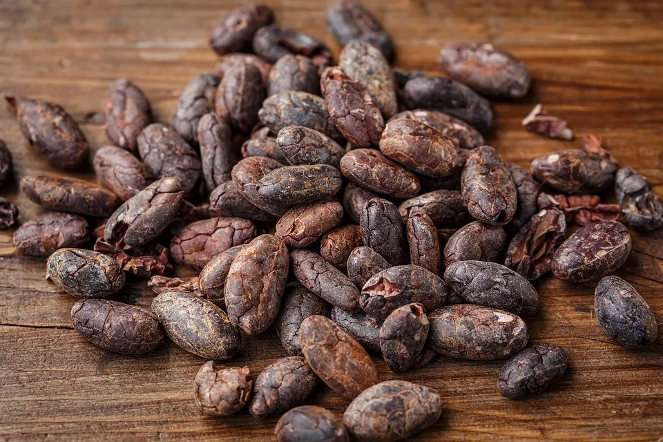 ancient_chocolate_1200x1200.webp?v=1761600848